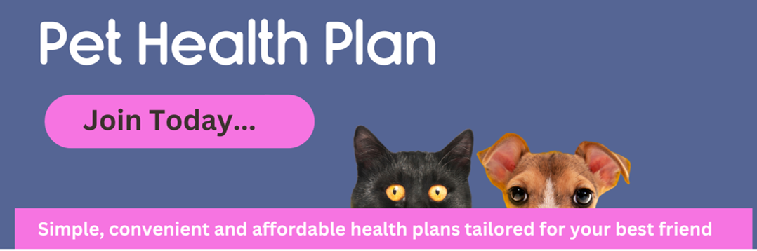 Vets In Newcastle | Mobile Vets In Newcastle | Doorstep Vets