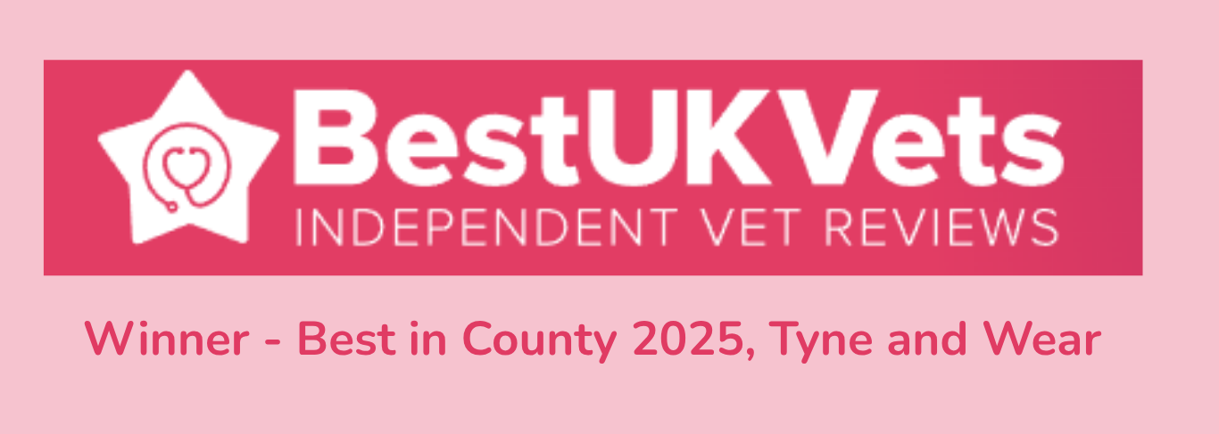 Newcastle Vets | Mobile Vets In Newcastle | Doorstep Vets